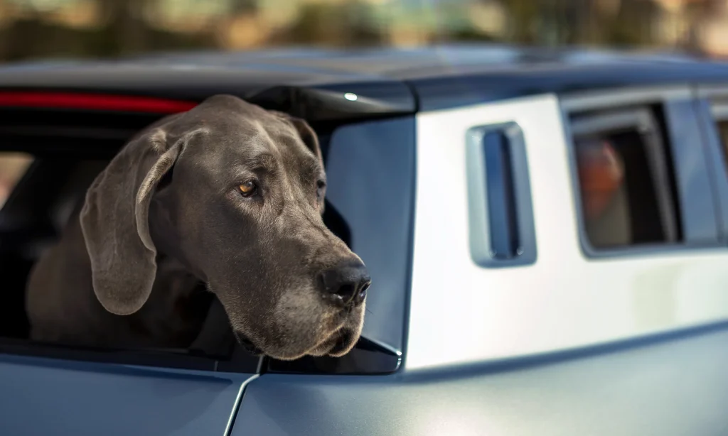 Fisker Ocean - The EV SUV of the future | Lumin Fisker